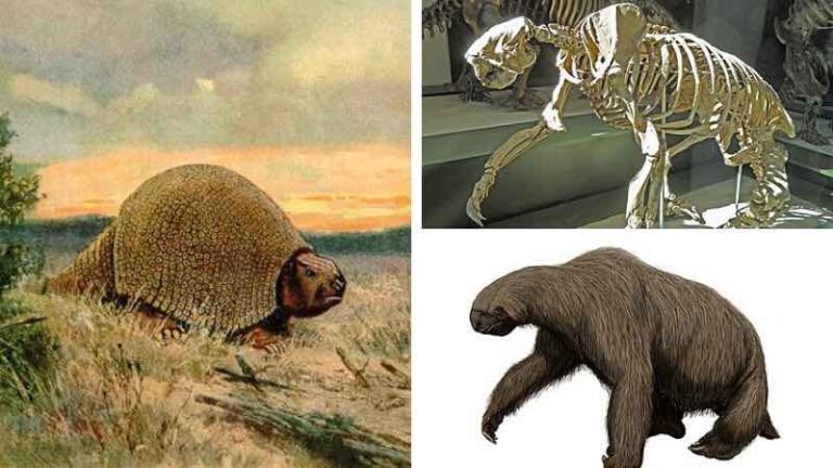 Animales de la era cenozoica: definición y ejemplos