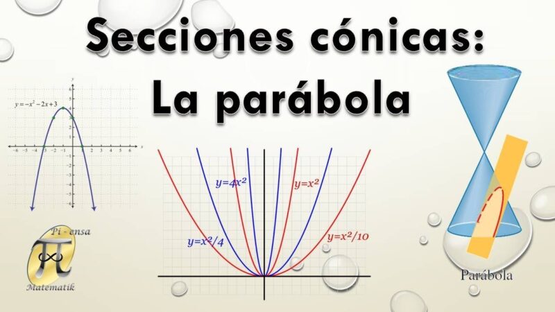Definición y ejemplos de complexión: todo lo que necesitas saber