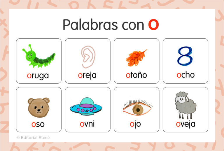 ¿Cuáles son los principales ejemplos de verbos con la letra o?