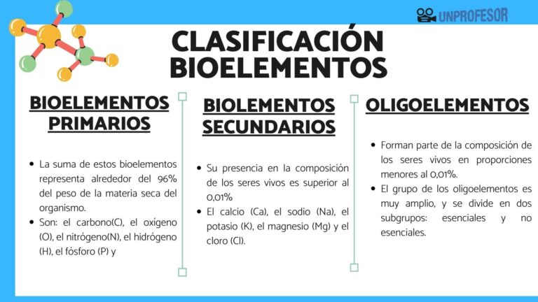 Funciones de los bioelementos: ejemplos y explicación